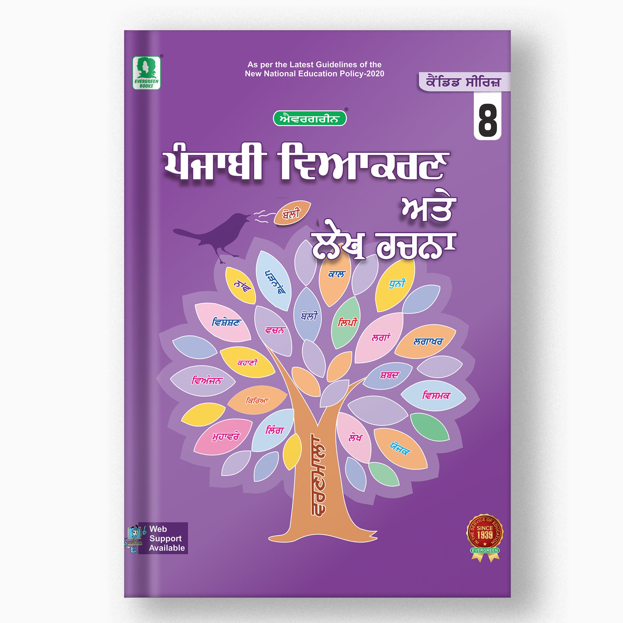 Buy Class 8 Evergreen Punjabi Vyakaran Book| Evergreen Publications